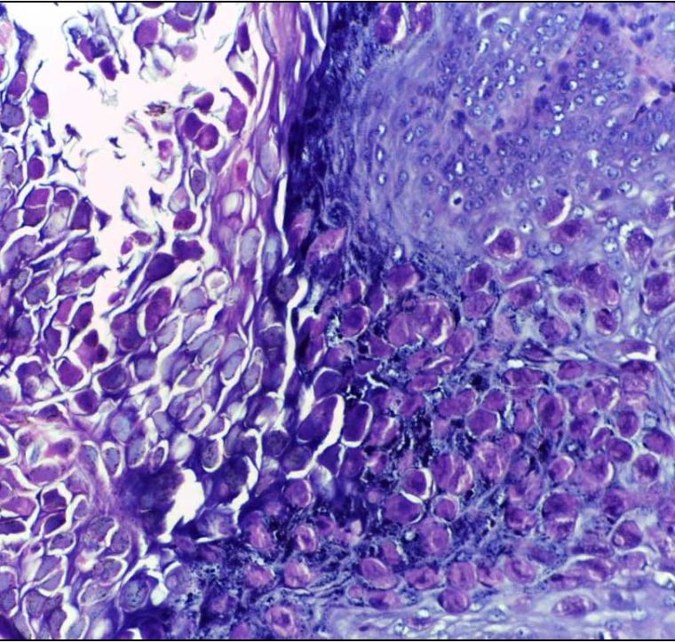 Accueil - Centre de Radiologie et d'Imagerie Médicale de LAON